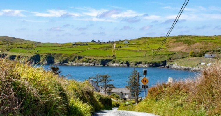 'See puffins up close': 6 underrated islands on Ireland's west coast ...