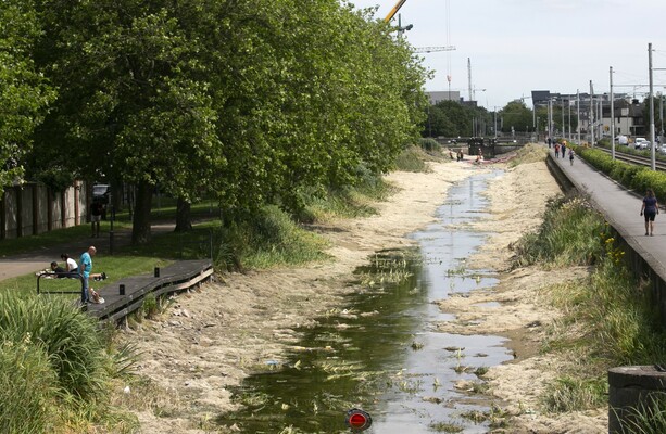 Temporary dam to be built after Grand Canal partially drains following ...