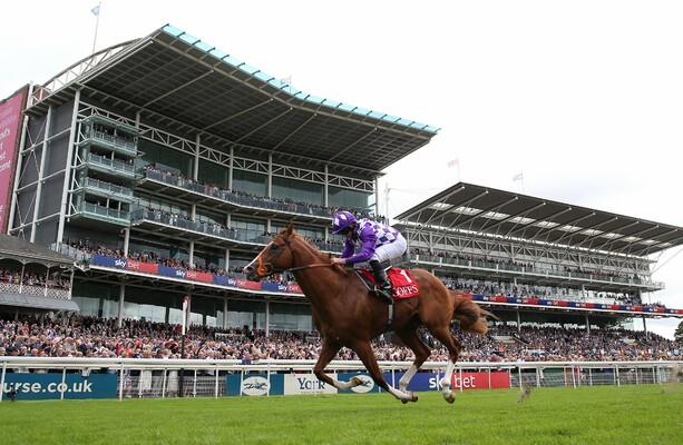 Johnny Ward: Moore's ban the latest alarming turn in the destruction of ...