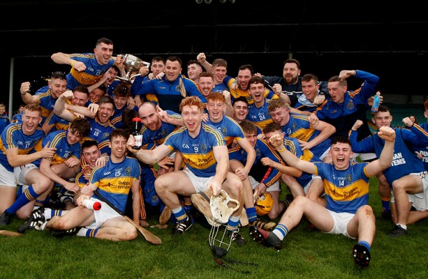 Patrickswell deny Na Piarsaigh three-in-a-row and move to top of ...