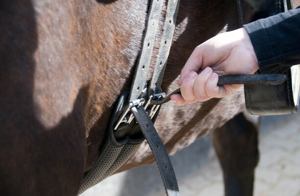 'He should be with us today': HSE settles case with family of jockey ...