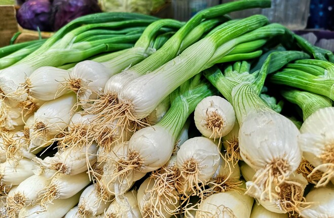 From the Garden: How to get the most out of your leek crop