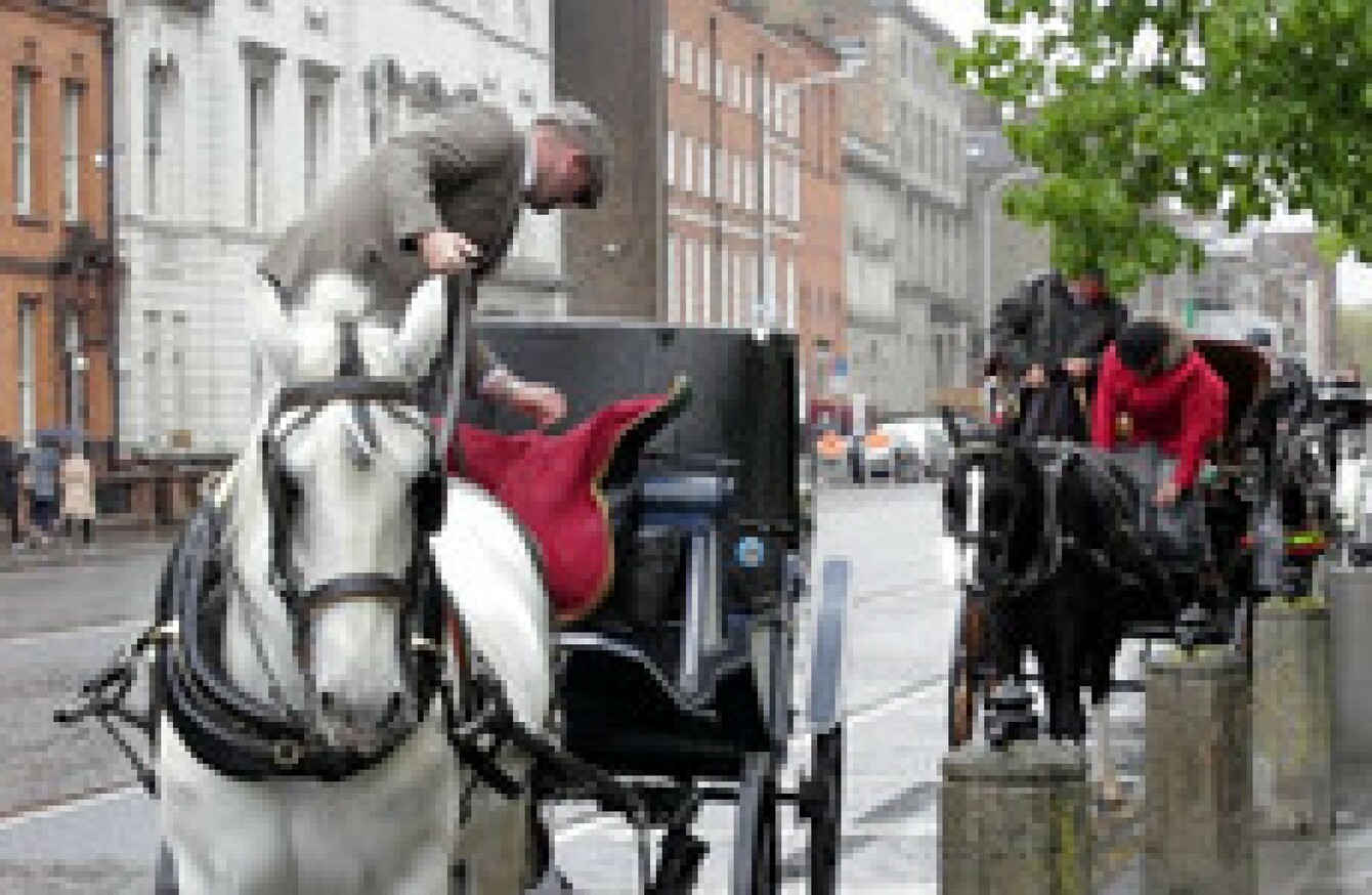 Legal limbo to end for Dublin's horse-drawn carriage drivers as new law ...