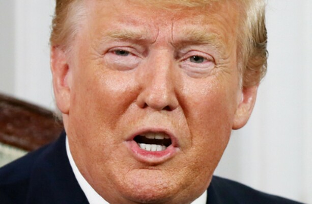 Larry Donnelly: Trump re-election in 2020 not a done deal, but ...