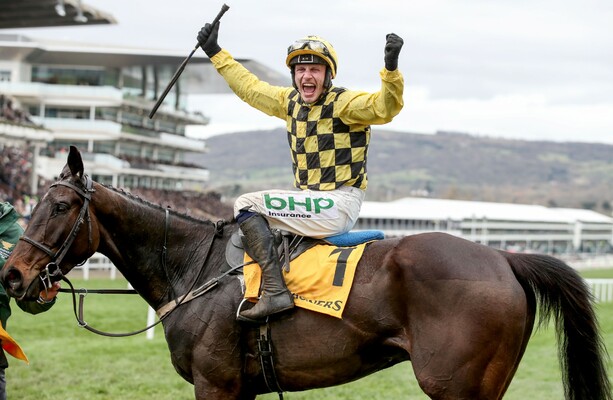 3 recent Gold Cup winners amongst 31 entries for this year's Cheltenham ...