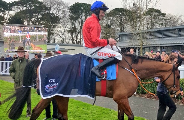 Johnny Ward: Mullins has the hunger and the hand to continue ...