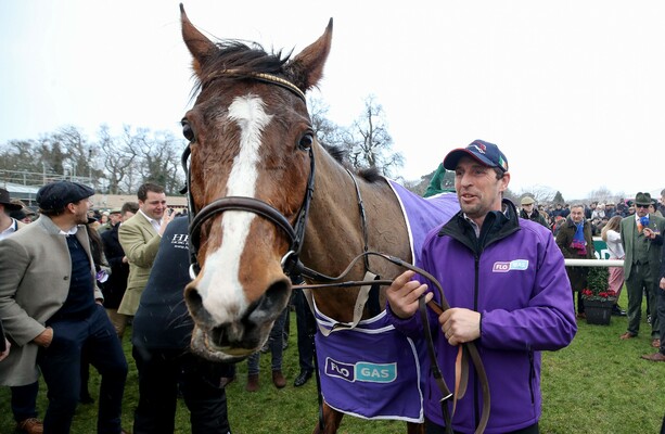 Faugheen steals the show at Leopardstown while Delta Work lands Gold ...