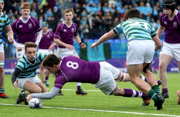 Eight-try Clongowes eventually surge past St Gerard's to book semi ...