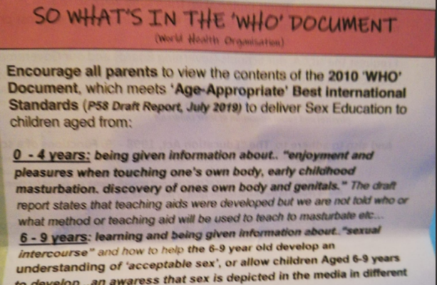 FactCheck: Will children be taught how to masturbate as part of their ...