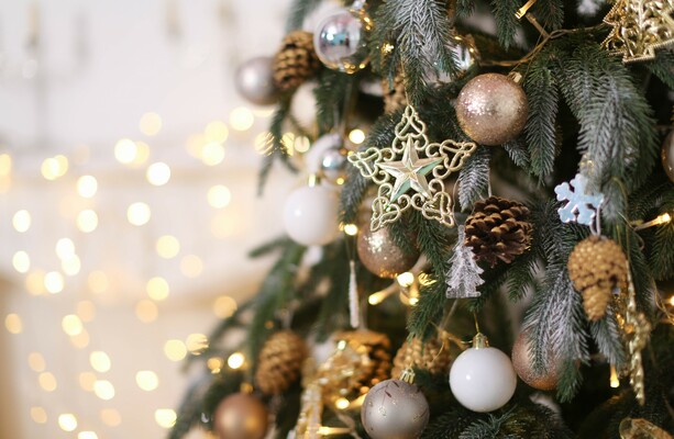 Poll: Are you looking forward to Christmas? · TheJournal.ie