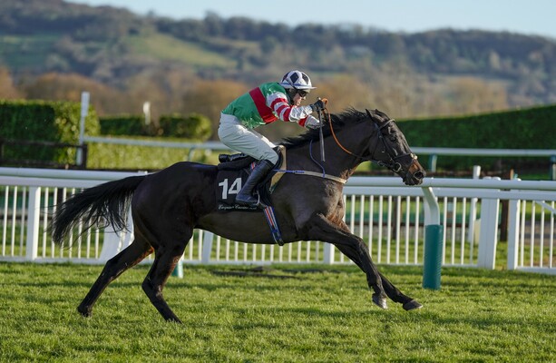 Irish raider wins by 15 lengths under Darragh O’Keeffe at Cheltenham