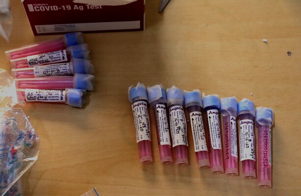 US regulator approves first rapid at-home Covid-19 antigen test