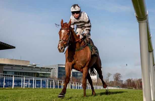 Johnny Ward: Cheltenham without the Irish is a dispiriting thought