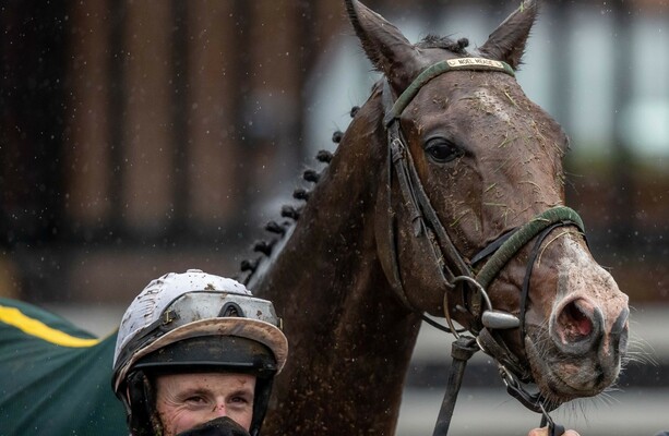 Meade's Daly Tiger proves a 20/1 success at Fairyhouse · The 42
