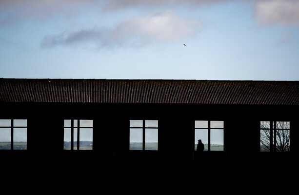 Johnny Ward: Sport of kings and rogues Hoarding the headlines · The 42