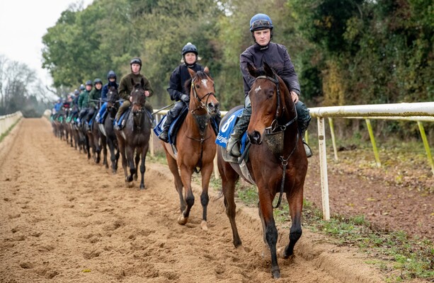 Denise Foster to take over as trainer while Gordon Elliott serves ...