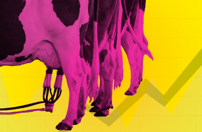 Opinion: Our farm subsidy model is broken and causing destruction to ...