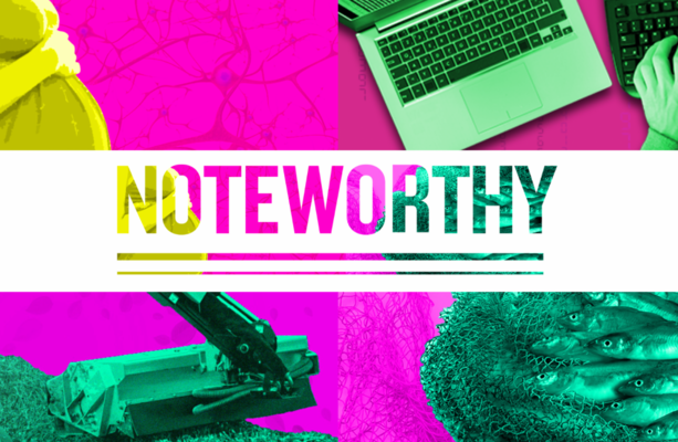 Noteworthy investigations expose environmental issues and analyse far ...