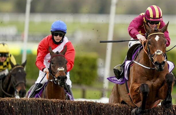 Cheltenham victor Minella Indo tops 11 in Punchestown mix · The 42