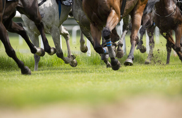 Galway trainer Stephen Mahon handed four-year ban for breaches ...