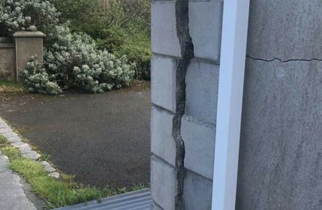 The Mica controversy explained: Here's why thousands of people took to ...