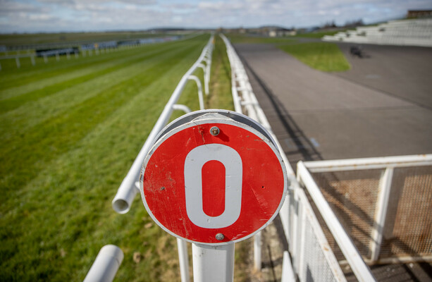 Johnny Ward: Racing chiefs saddle up to face Oireachtas quizzing