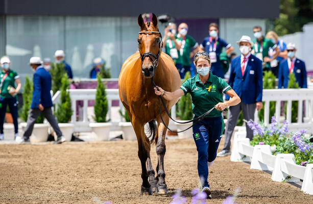 Ireland's eventing team in 13th place following dressage phase · The 42