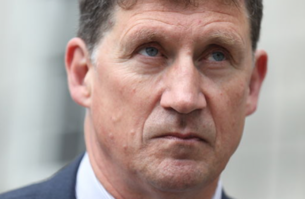 Eamon Ryan 'regrets' controversy caused by Zappone and Green Party events