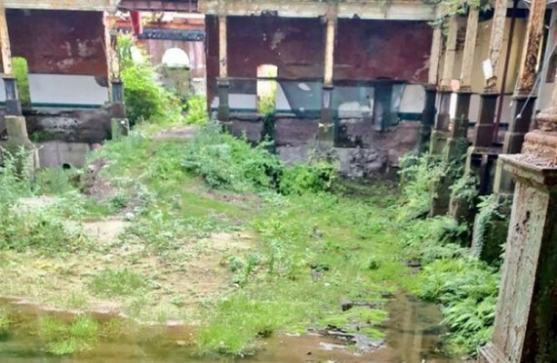 Full restoration of Dublin's Iveagh Market expected to cost €23 million