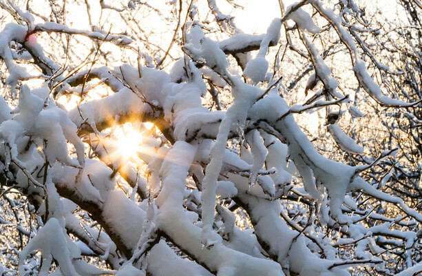 Status Yellow snow and ice warning issued for entire country for tomorrow