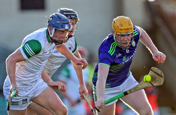 David Reidy hits 1-14 for Limerick in resounding semi-final win against ...