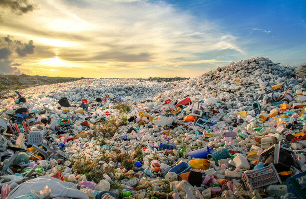 Global plastic waste will triple by 2060 according to OECD projections