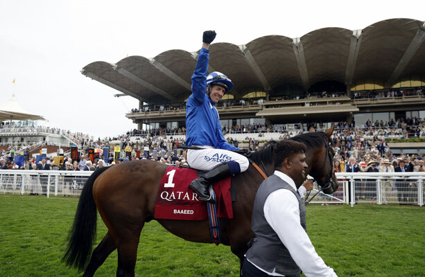 Brilliant Baaeed stays unbeaten with dominant Sussex display · The 42