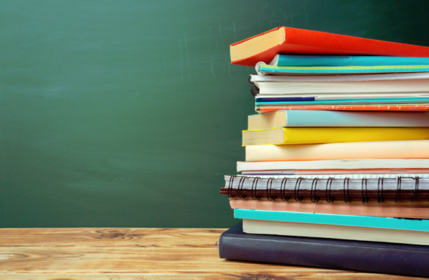 Free school books for primary school students in Budget education package