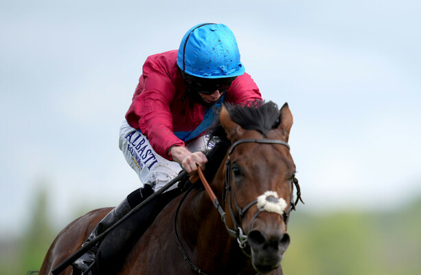 Baaeed beaten in Champion Stakes as Bay Bridge strikes for Stoute and ...