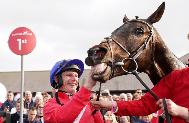 Allaho to miss King George · The 42