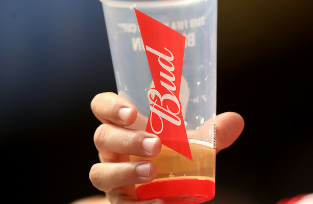 Alcohol u-turn as Fifa ban beer in stadiums two days before Qatar World ...