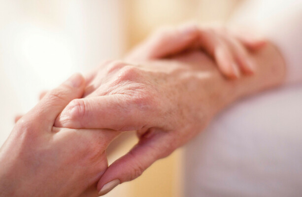 Terms of reference agreed for special committee on assisted dying