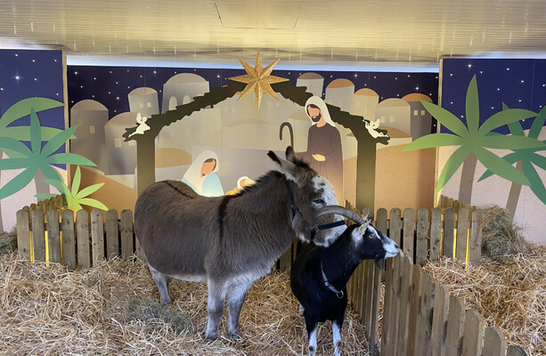 'There's an attempt to sanitise what we're celebrating': Dublin's live ...