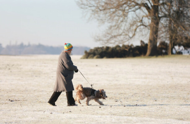 Status Yellow ice warning to come into effect for 22 counties this evening