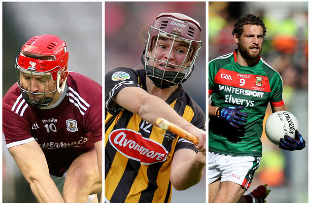 Eight GAA icons to feature in new series of Laochra Gael · The 42