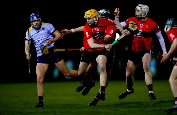 Flynn hits 0-14 as UCC edge into Fitzgibbon Cup last four · The 42