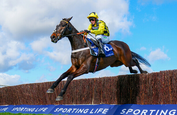 Shiskin rediscovers old verve to remind us how well the top trainers ...