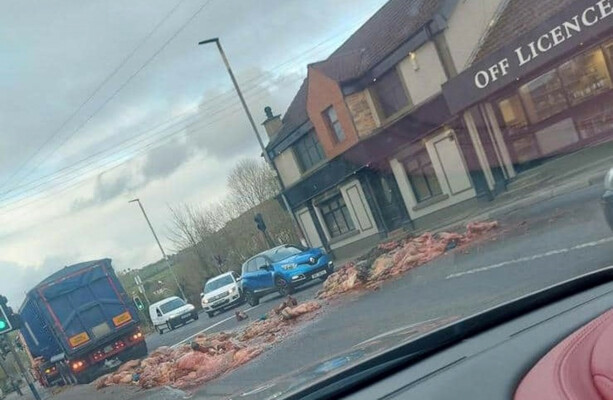 Major cleanup underway after lorry shed load of animal wastage in Derry