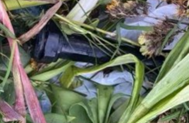 Four suspected pipe bombs recovered from Creggan cemetery after ...