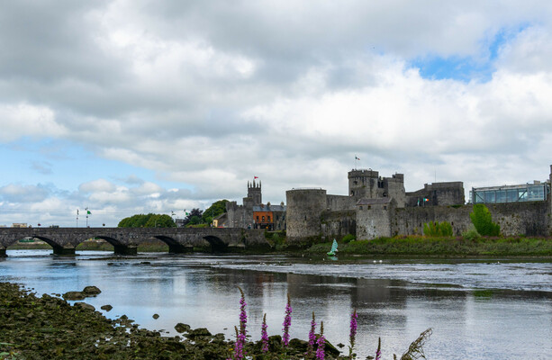 Limerick to vote for Ireland's first directly elected mayor in 2024