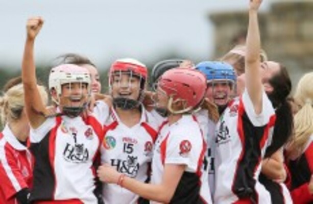 Camogie: Derry win All-Ireland intermediate camogie final replay