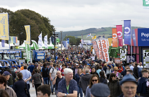 Poll Have You Ever Been To The Ploughing · Thejournal Ie