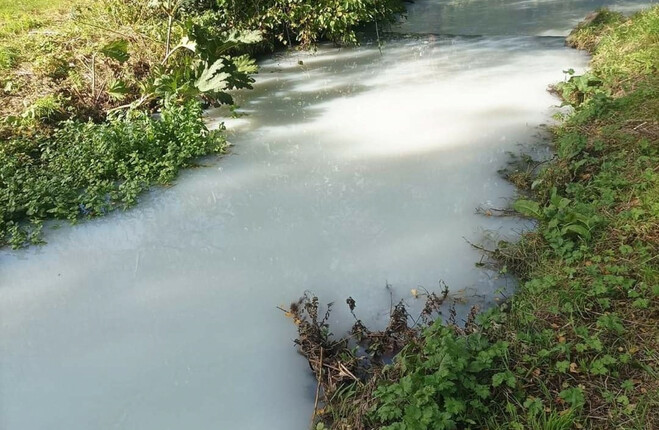 South Dublin County Council investigating pollution in River Poddle ...