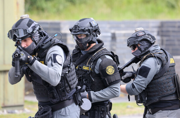 Inside Ireland's armed garda units: How criminal feuds and global ...